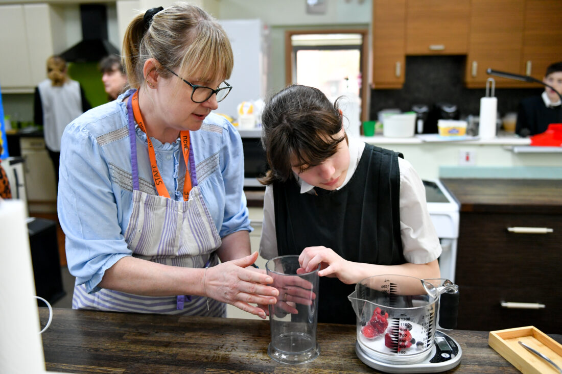 The Specialist VI Curriculum - New College Worcester